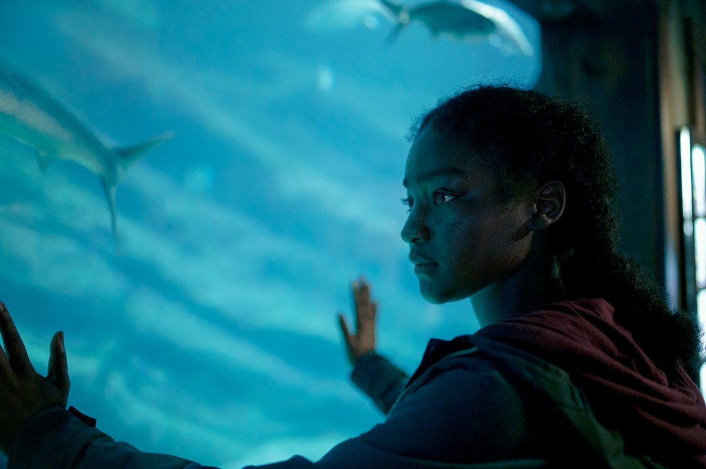 The Power Cast: Where You've Seen Toni Collette and Auli'i Cravalho Before | Den of Geek