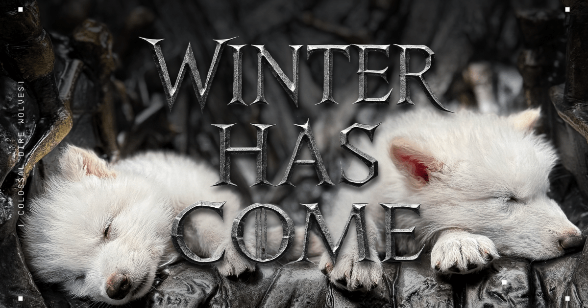 Move Over Game of Thrones, The Real Dire Wolf Is Back! | Den of Geek